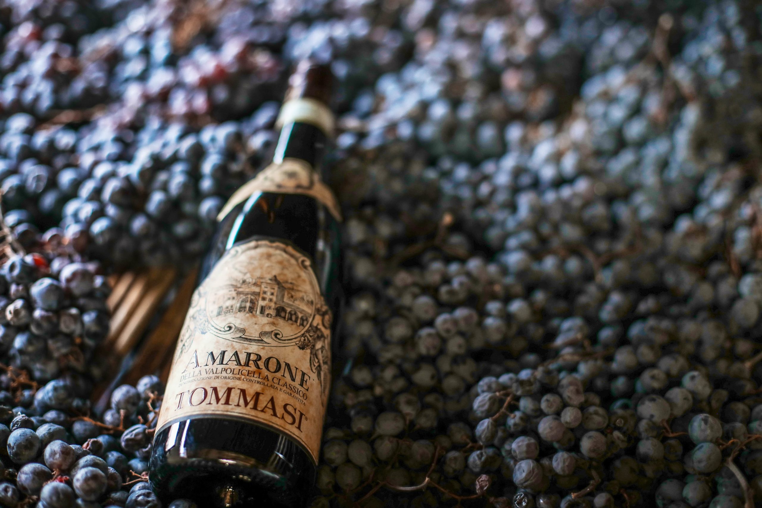 酒云网-与百万发烧友一起淘酒